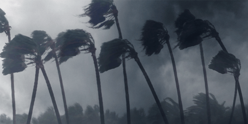 Hurricane Season Trucking Safety: Tips for Drivers Navigating Storms
